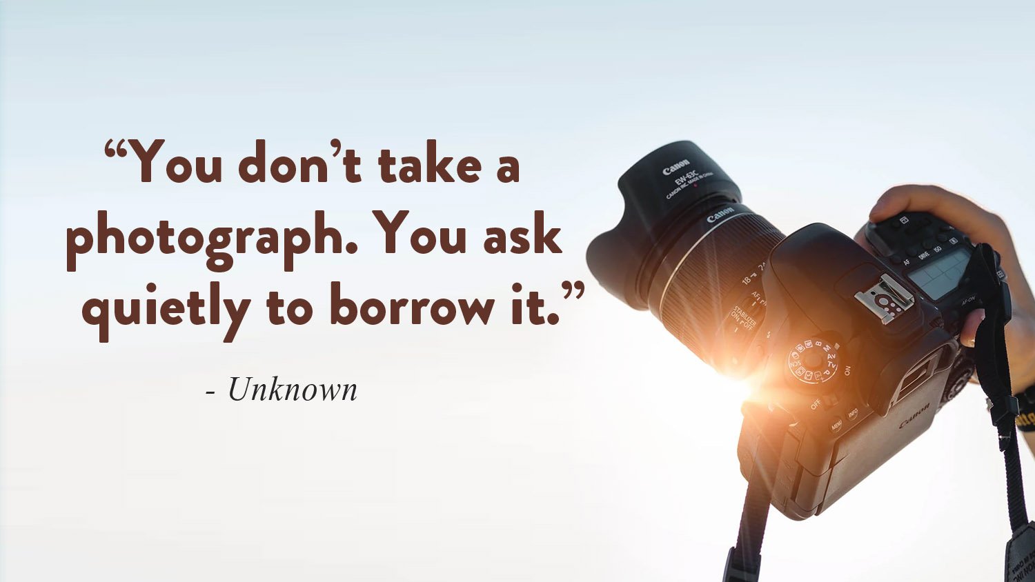 Photography Quotes About Nature, Memories, Light, Flowers