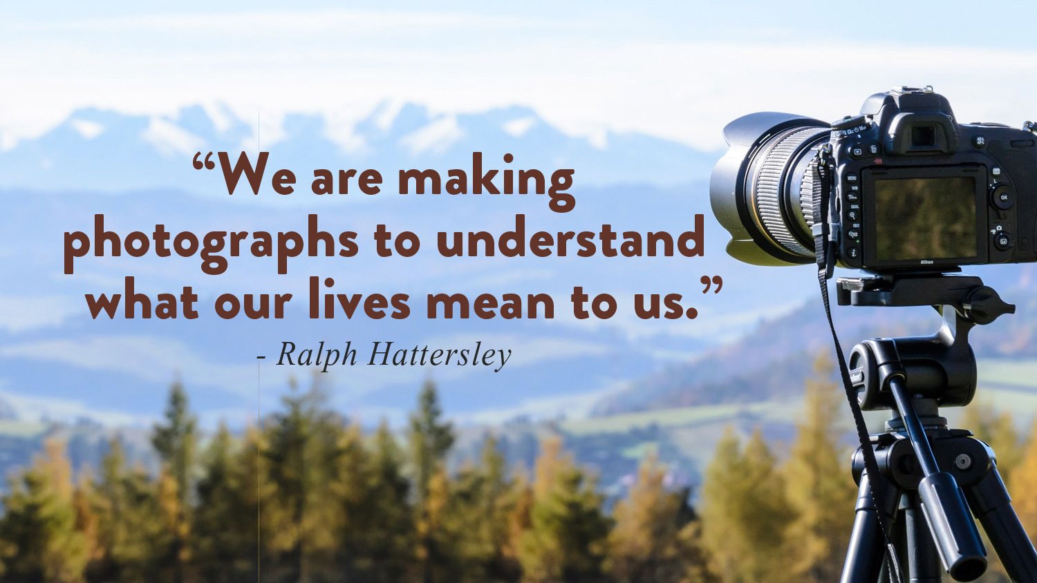 Photography Quotes About Nature, Memories, Light, Flowers